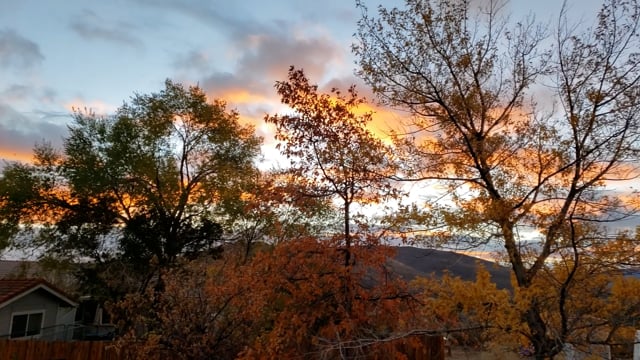 日出 彩虹 树木 - Free video on Pixabay - Pixabay