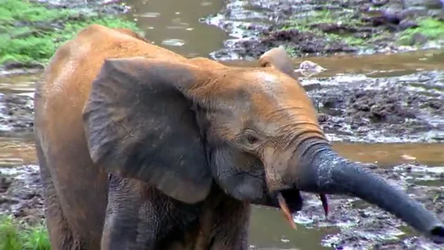 Wild DaZe Official Trailer on Vimeo