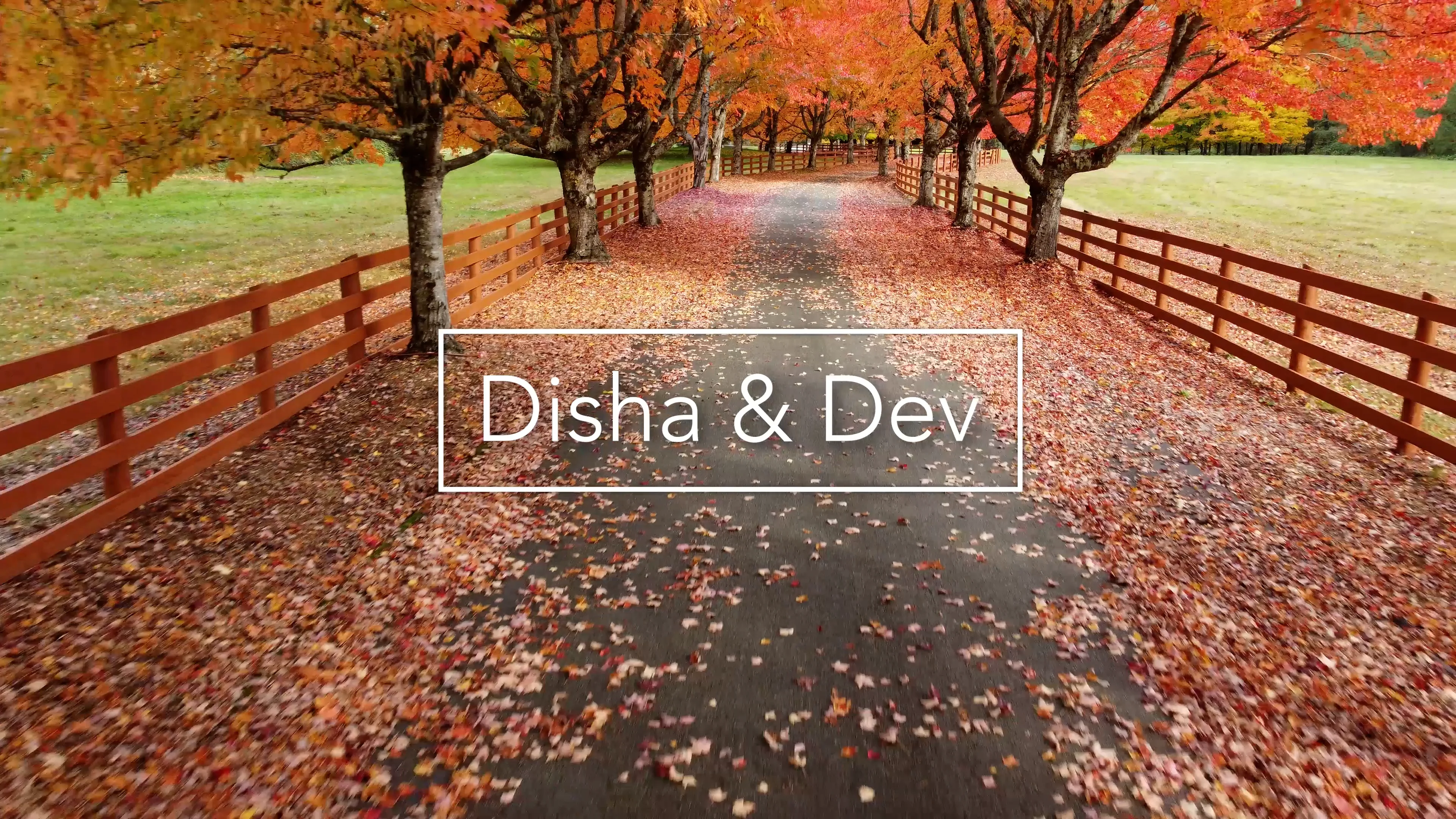 Disha&Dev_ on Vimeo