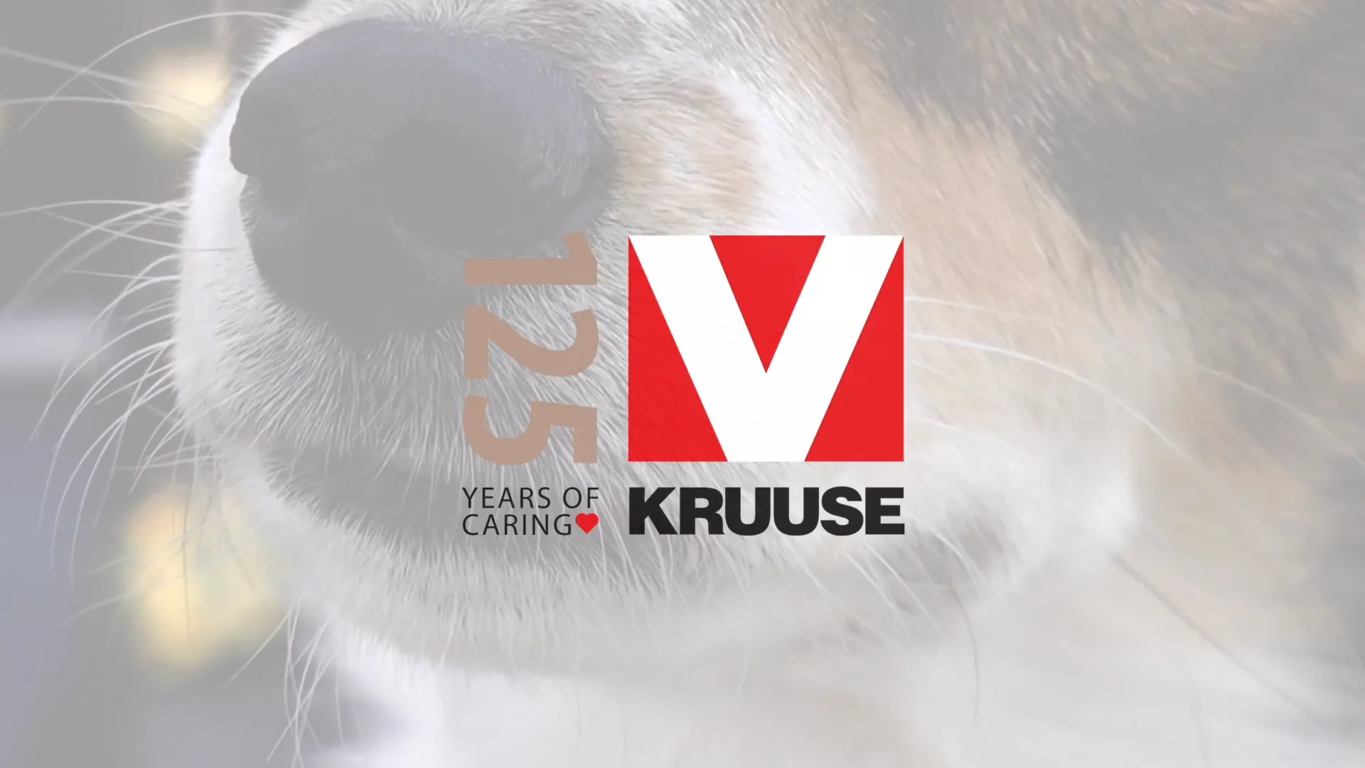 KRUUSE - 125 Years Of Caring