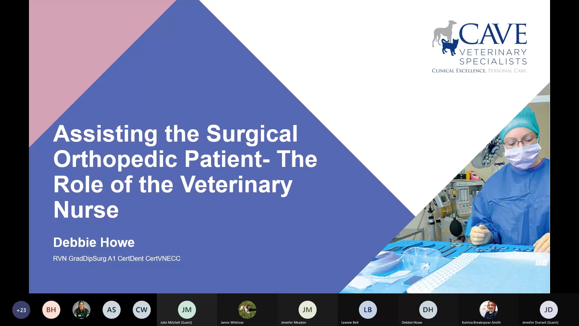 Assisting the Surgical Orthopaedic Patient - The Role of the Veterinary ...