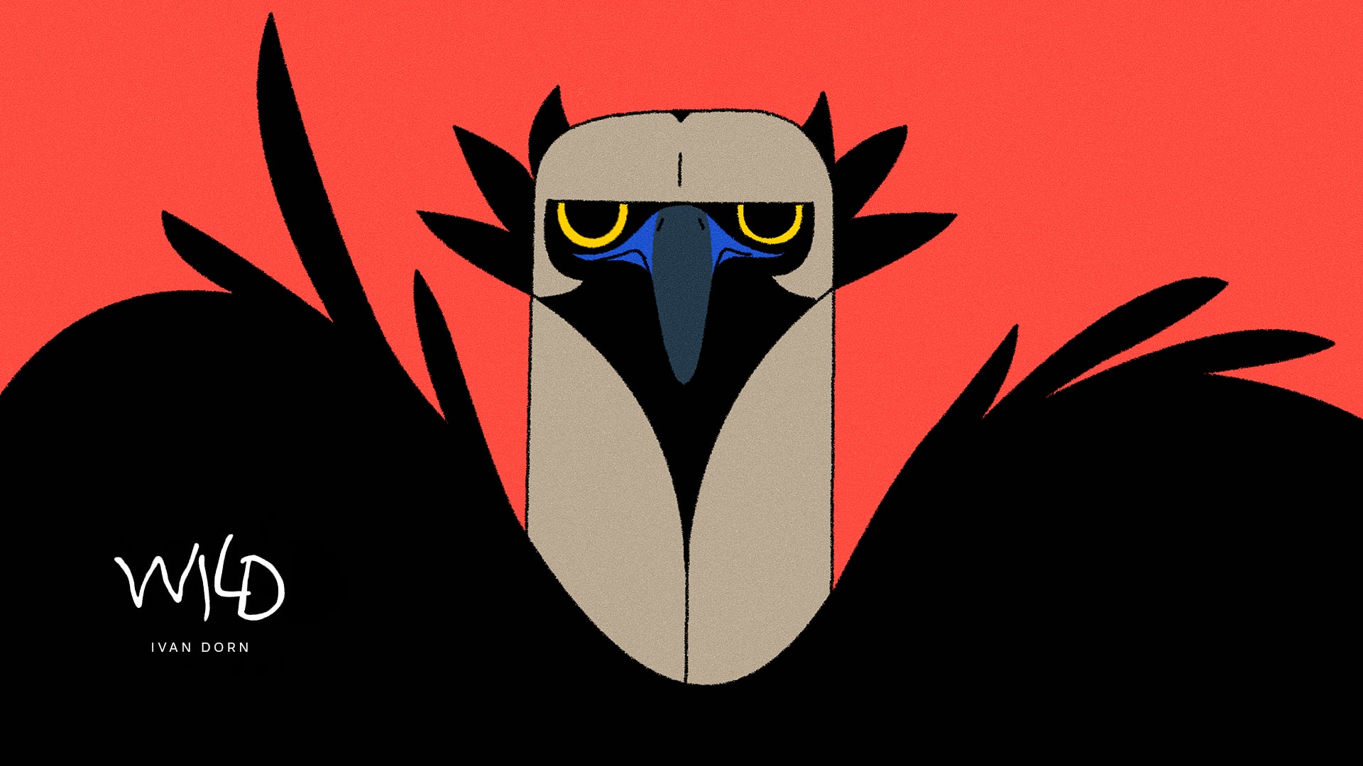 Wild on Vimeo