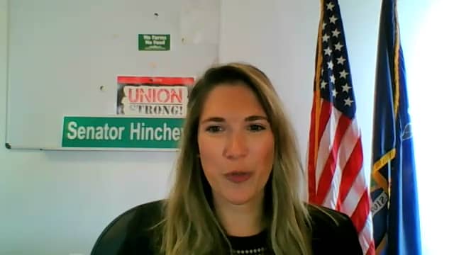 New York State Senator Michelle Hinchey on Vimeo