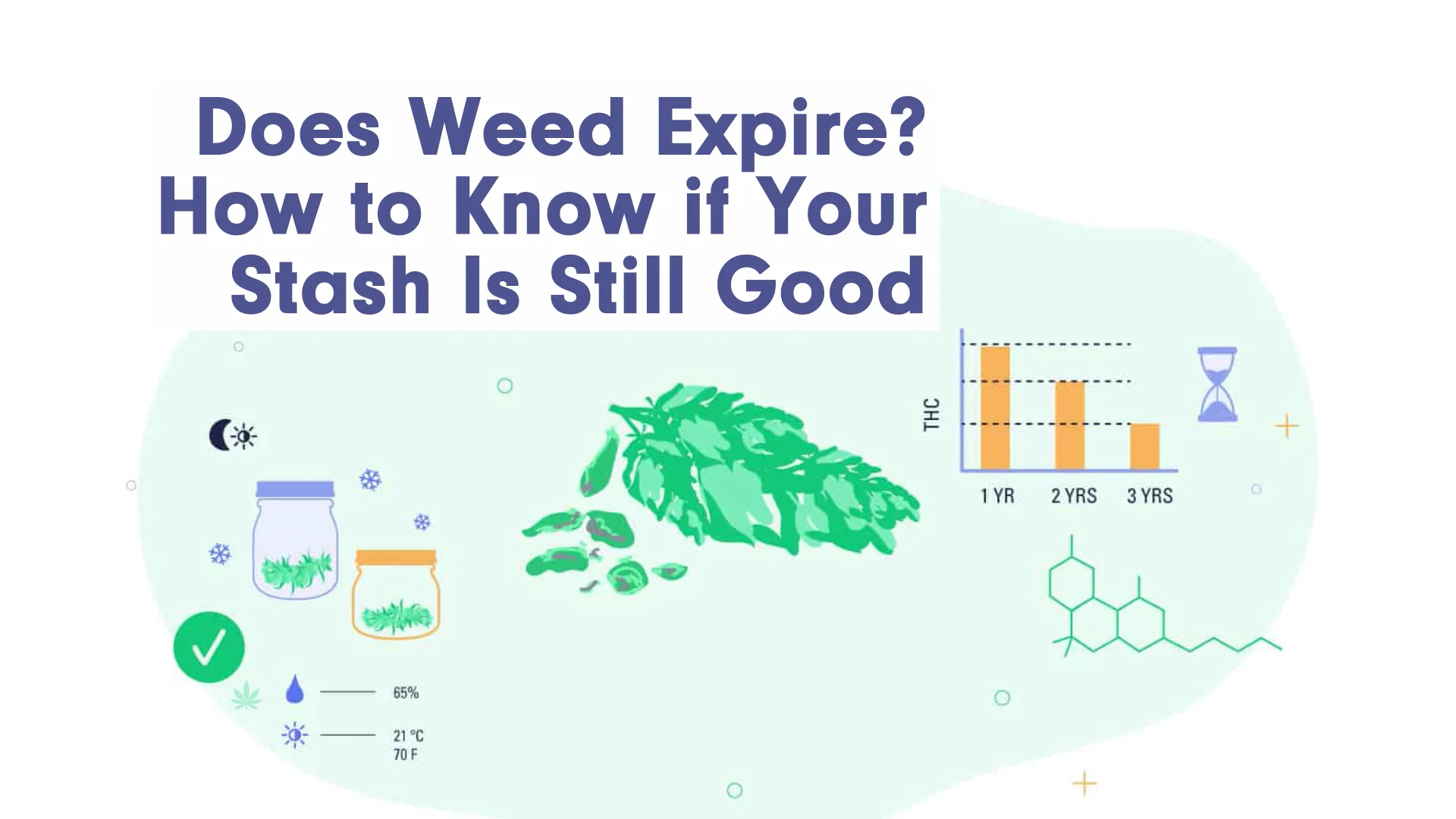 Does Weed Expire? How to Know if Your Stash Is Still Good on Vimeo