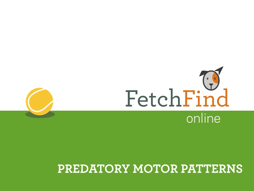 Predatory Motor Patterns on Vimeo