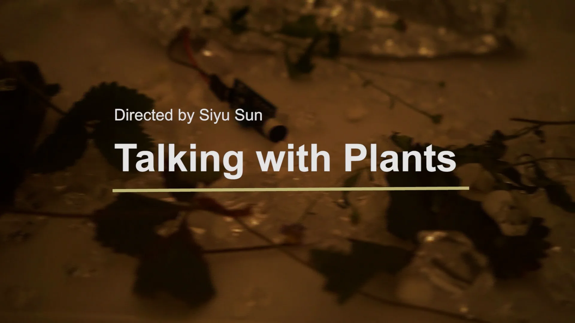 Experiment 2_Talking with Plants on Vimeo