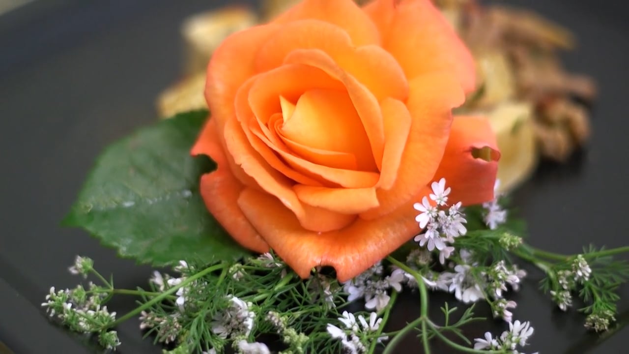 Spicy - 11672.mp4 on Vimeo