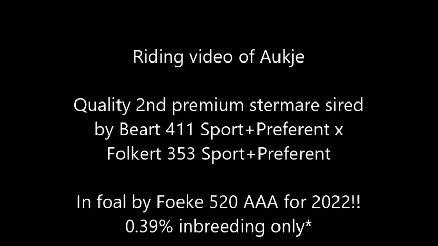 Riding video of Aukje - Ster mare sired by Beart 411 Sport+Pref x ...