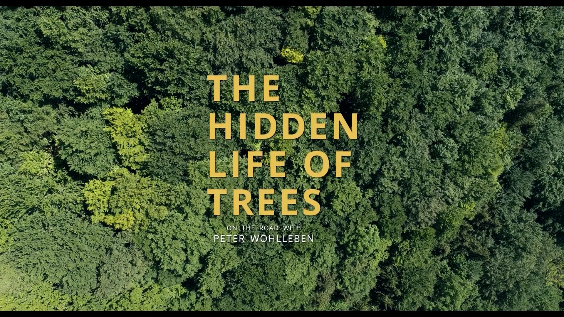 Watch The Hidden Life of Trees Online | Vimeo On Demand on Vimeo