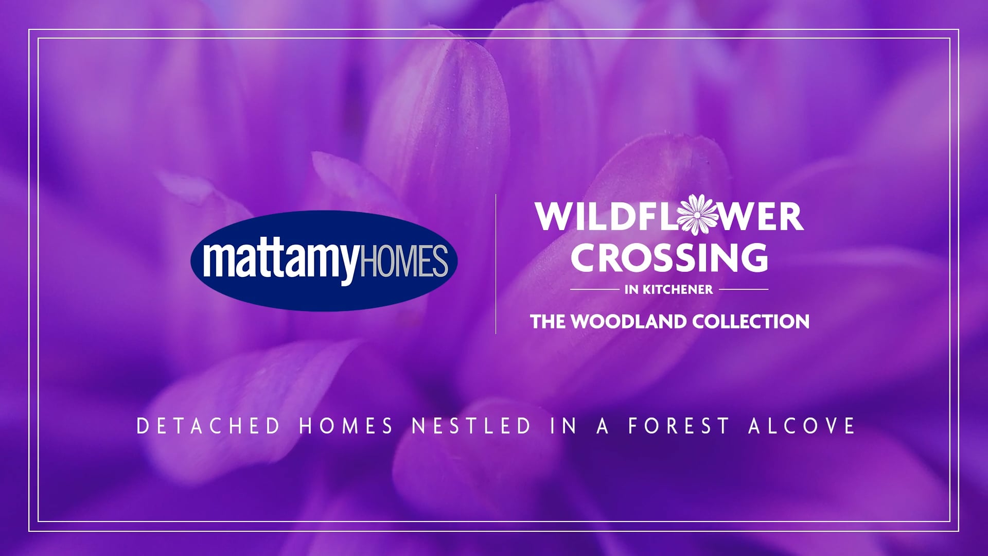 Woodland Collection at Wildflower Crossing in Kitchener, Ontario ...