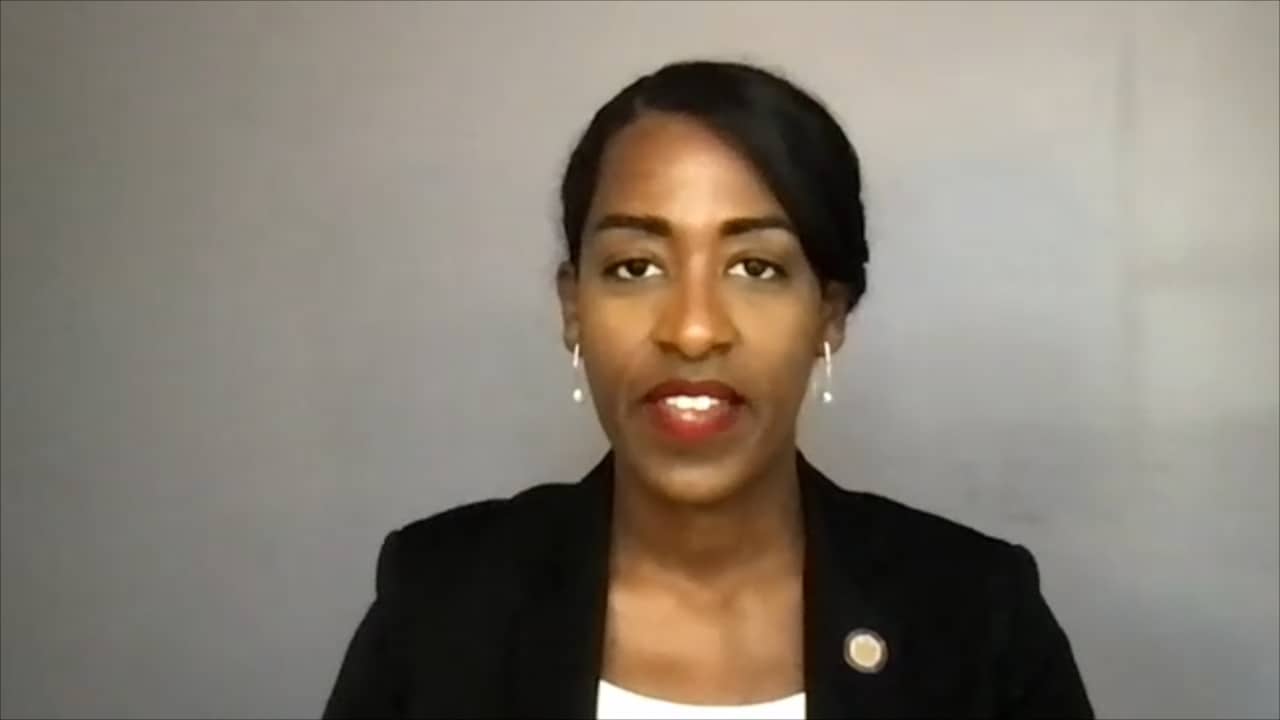 New York State Senator Samra G. Brouk on Vimeo