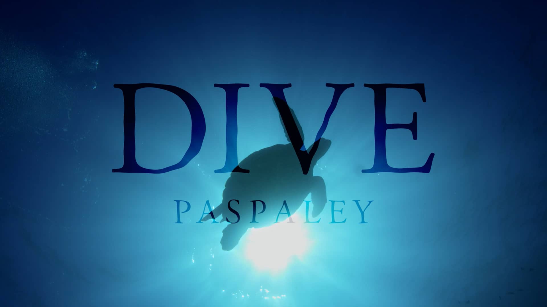 Paspaley Dive Collection on Vimeo