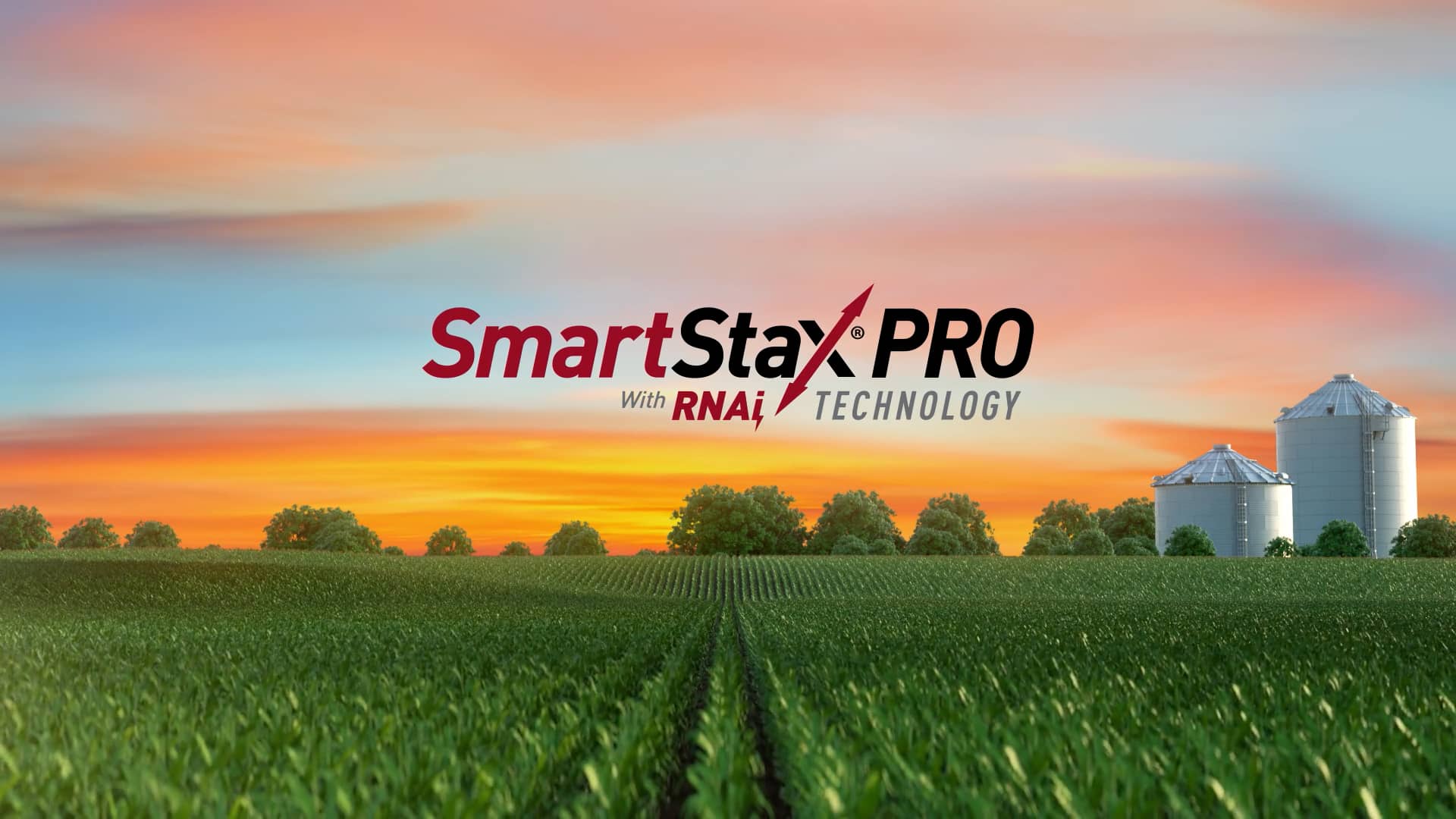 Bayer - SmartStax PRO RNAi on Vimeo