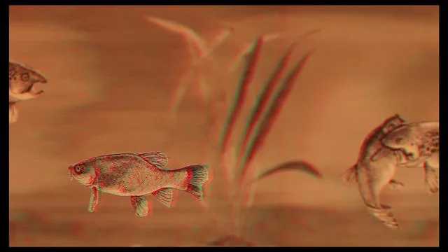 FISH AROUND on Vimeo