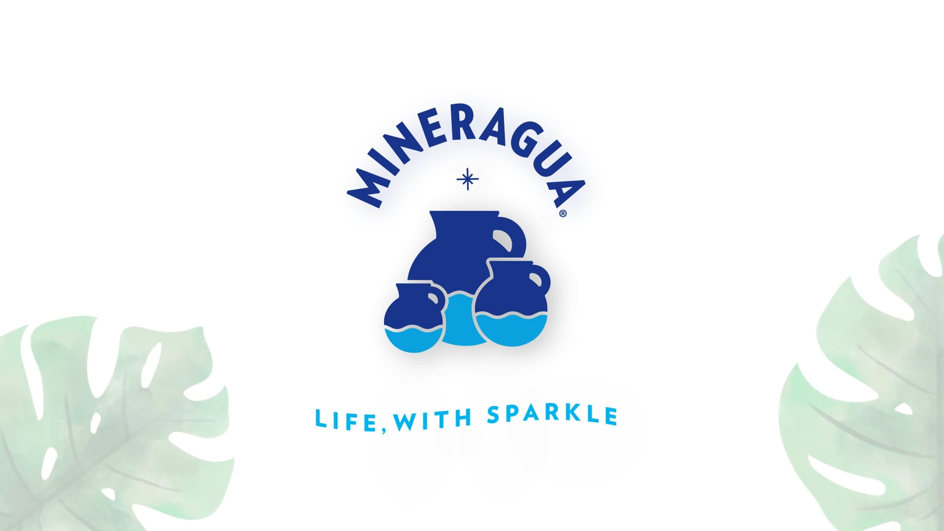 Novamex Mineragua - Brand Intro Video on Vimeo