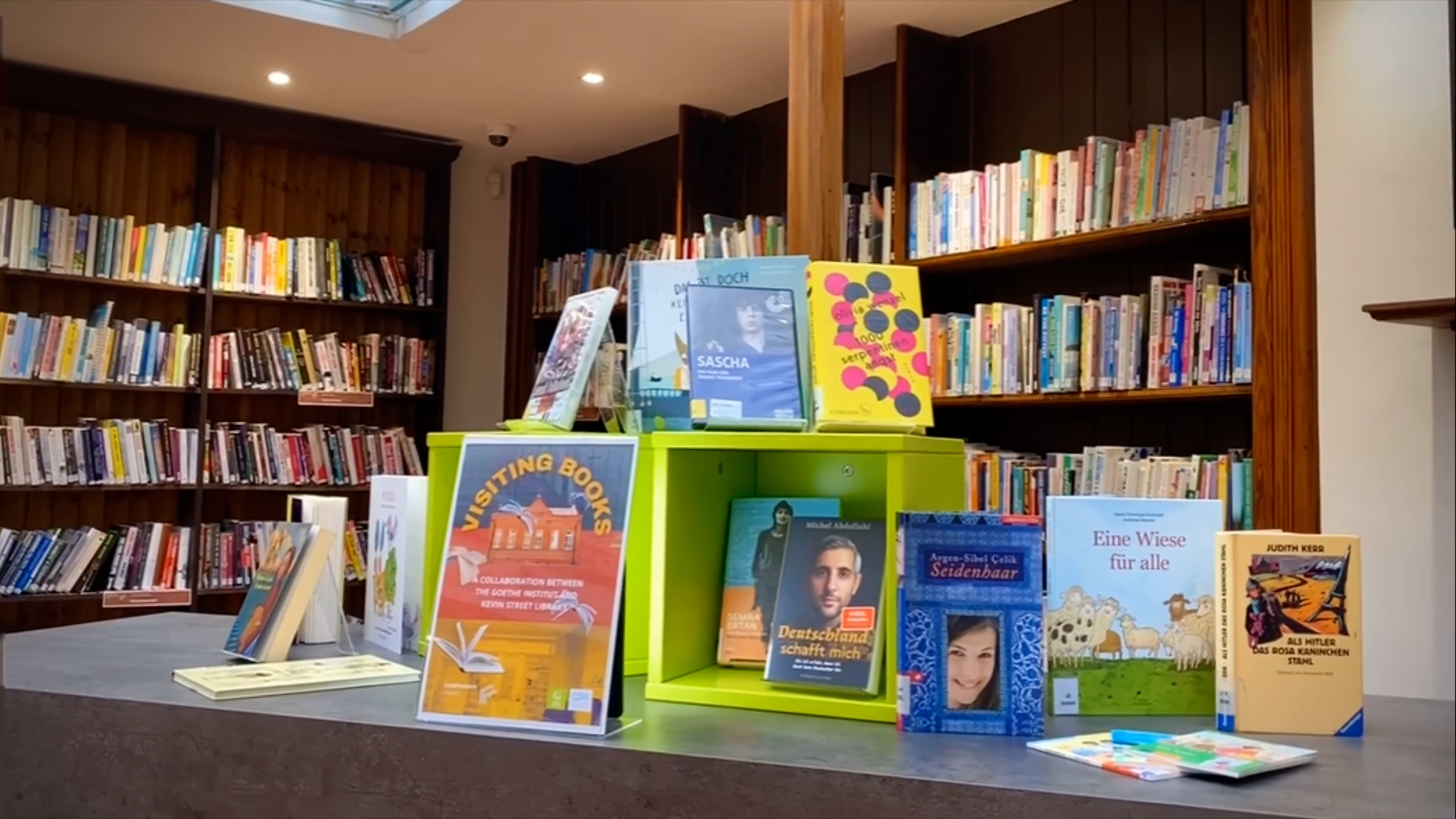 Visiting Books and Films: Goethe Insitut and Kevin Street Library on Vimeo