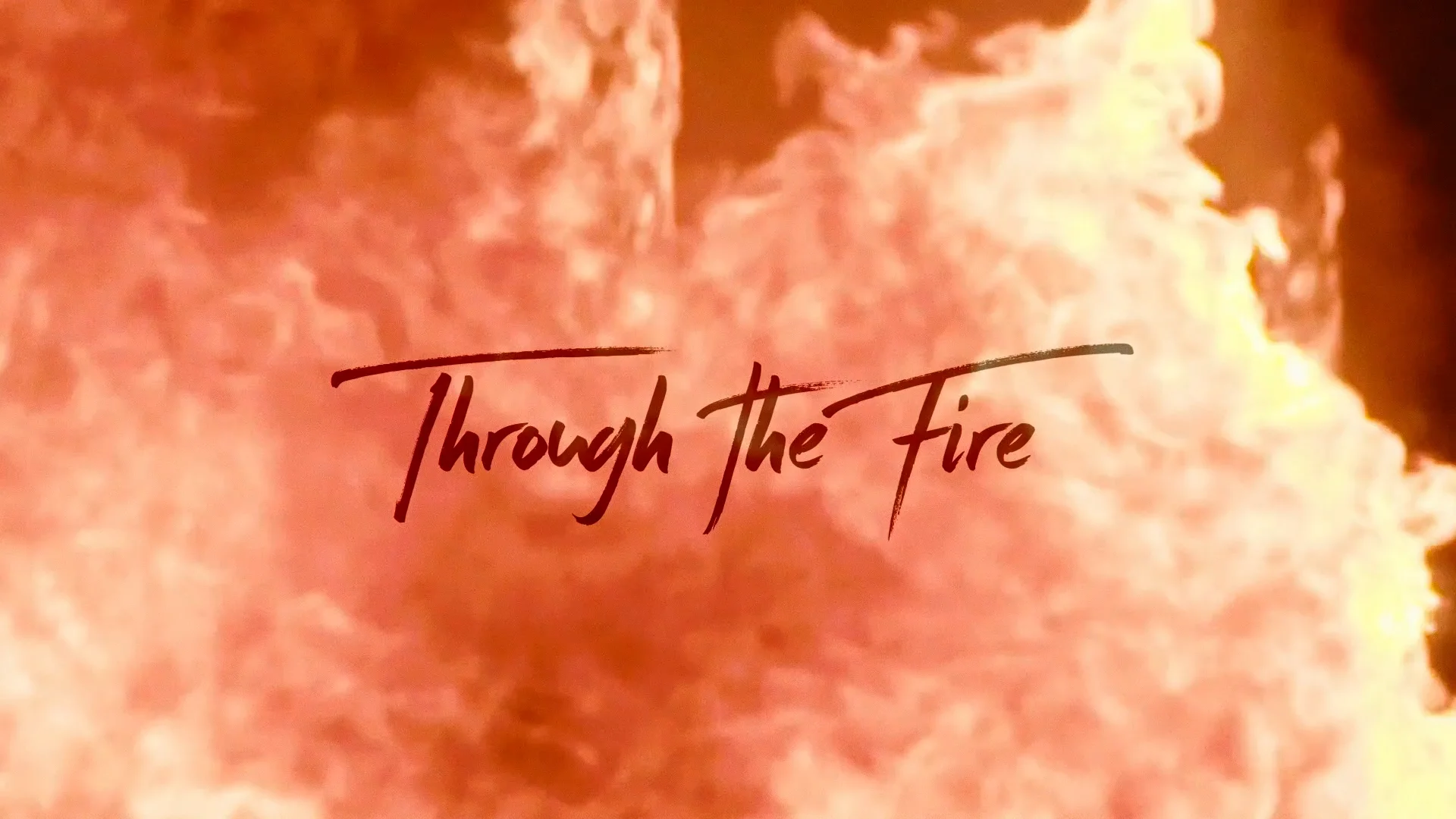 Through the Fire | The story of Tammy Moniz