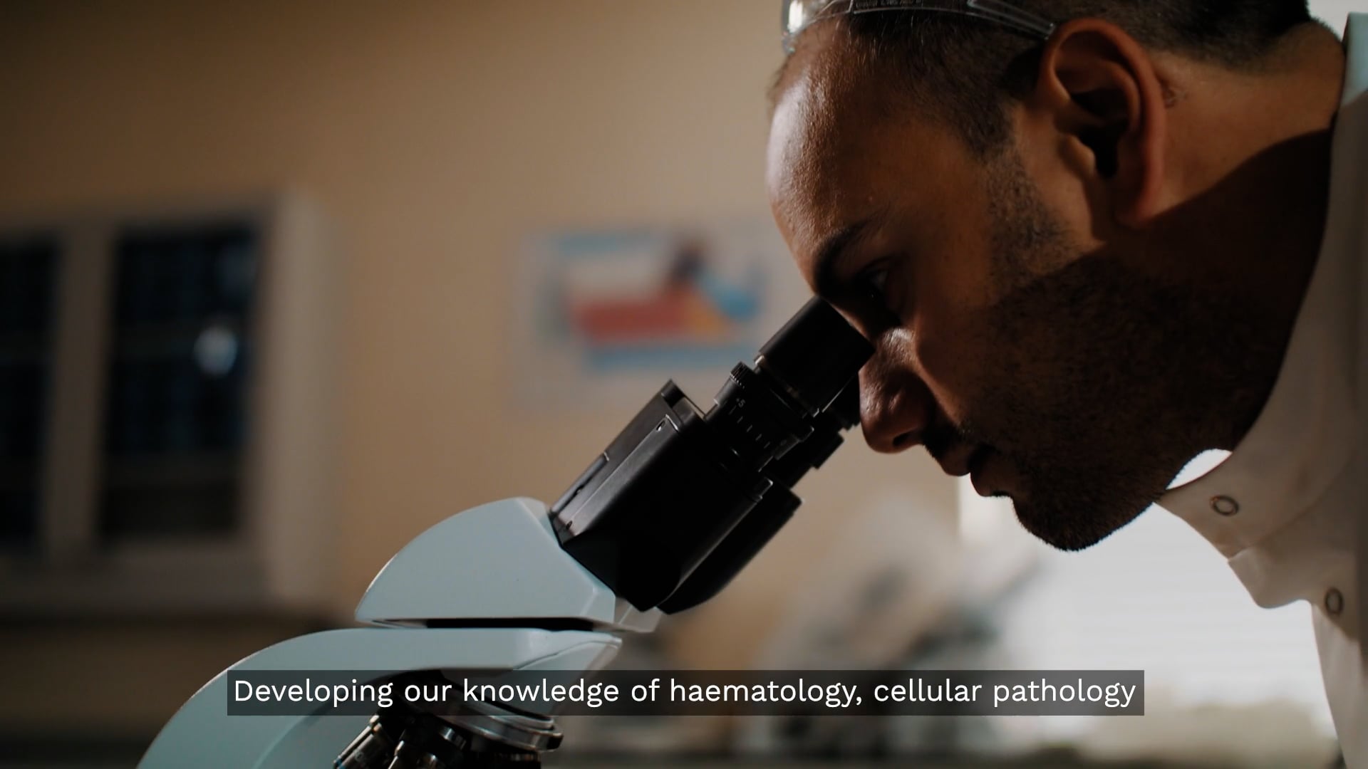 Study Biomedical Science at the University of Greenwich | London & Kent ...