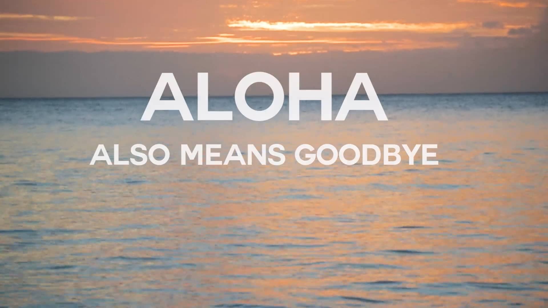 Aloha Also Means Goodbye-Festival Trailer.mp4 on Vimeo
