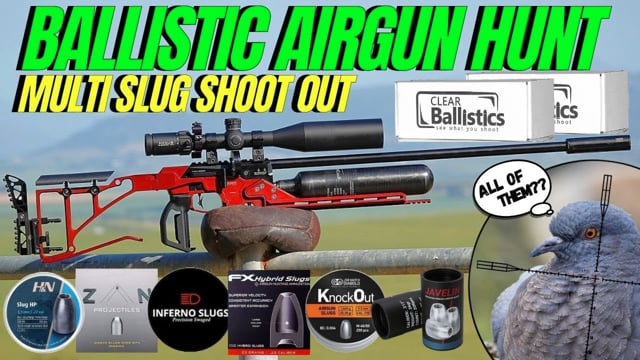 BALLISTIC AIR GUN HUNTING I AIR GUN SLUGS TERMINAL BALLISTICS TEST WITH ...