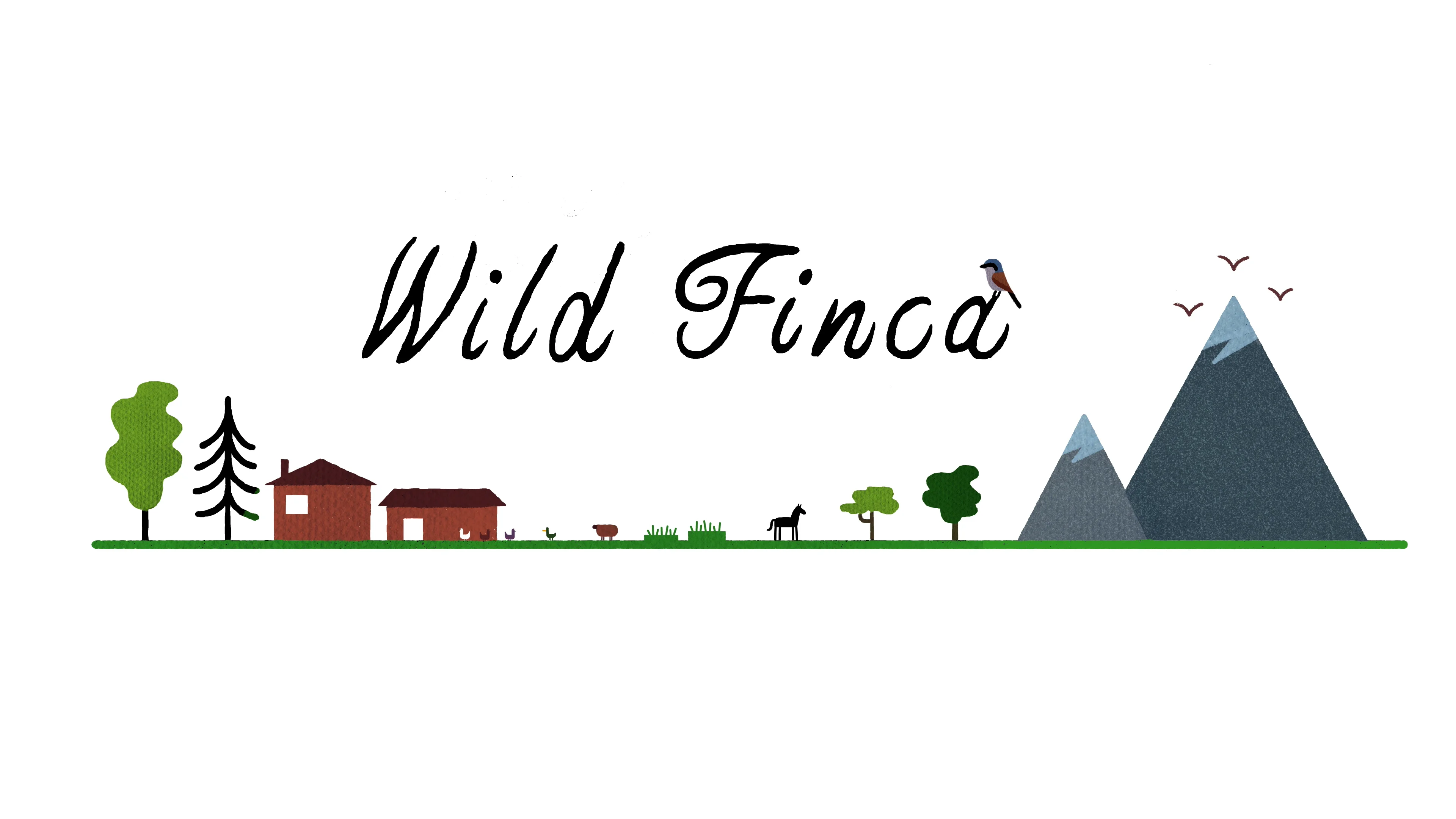 Wild Finca - An Introduction