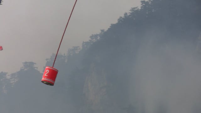 Forest Fire Fighters Water - Free video on Pixabay