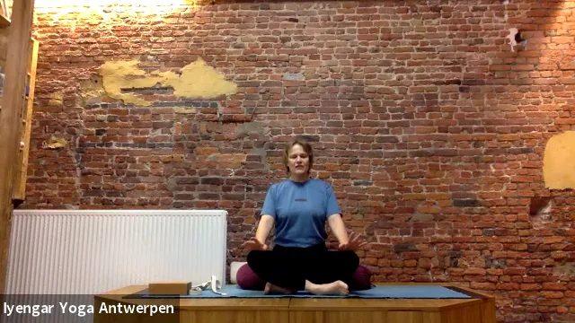 Watch Yoga lessen 90min met Ann Online | Vimeo On Demand on Vimeo