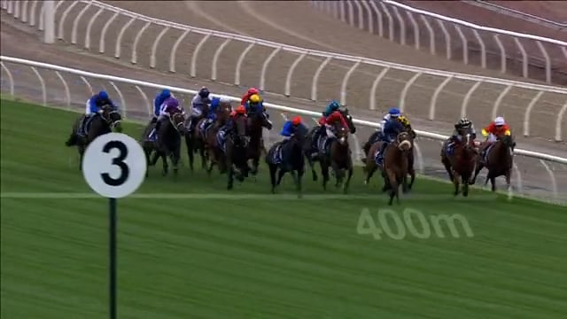 I Am Invincible - Stallion | Breednet