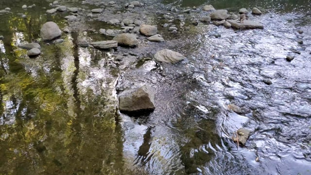 River Stream Flow - Free video on Pixabay