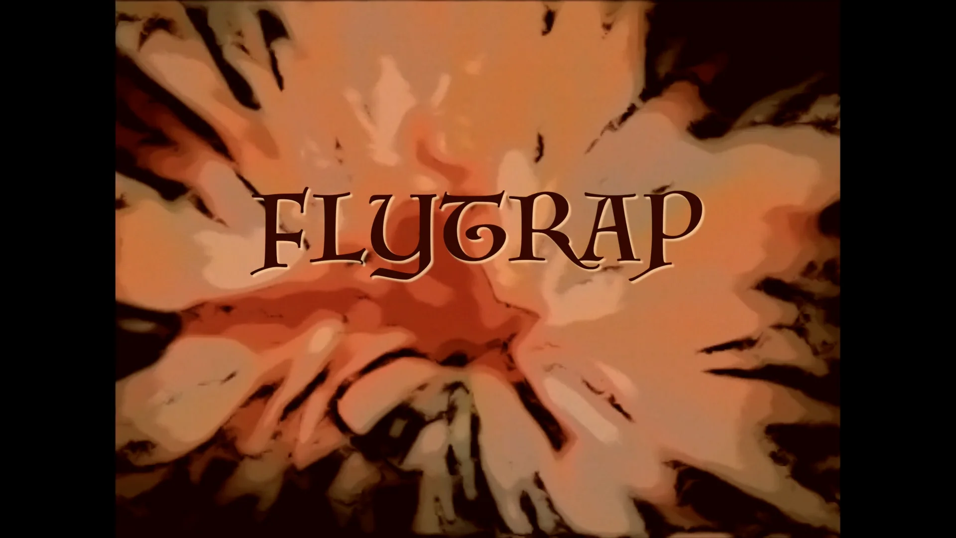Flytrap on Vimeo