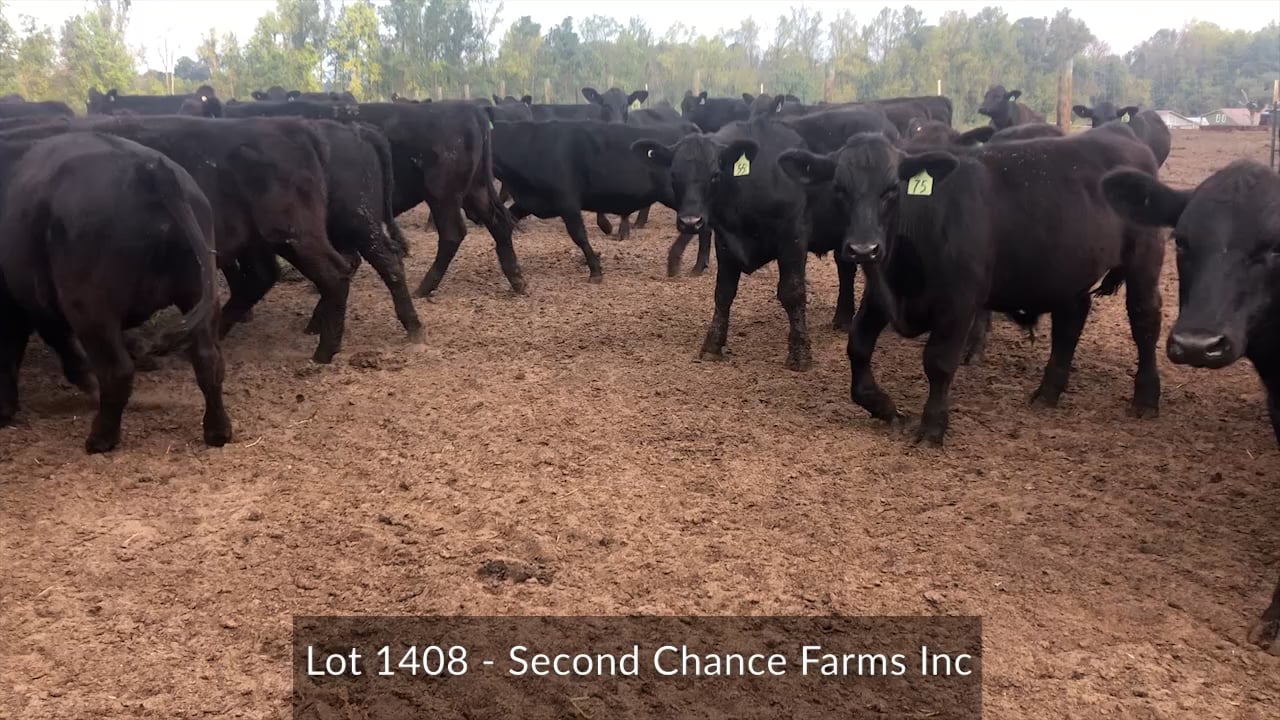 1408-Second Chance Farms.mp4 on Vimeo