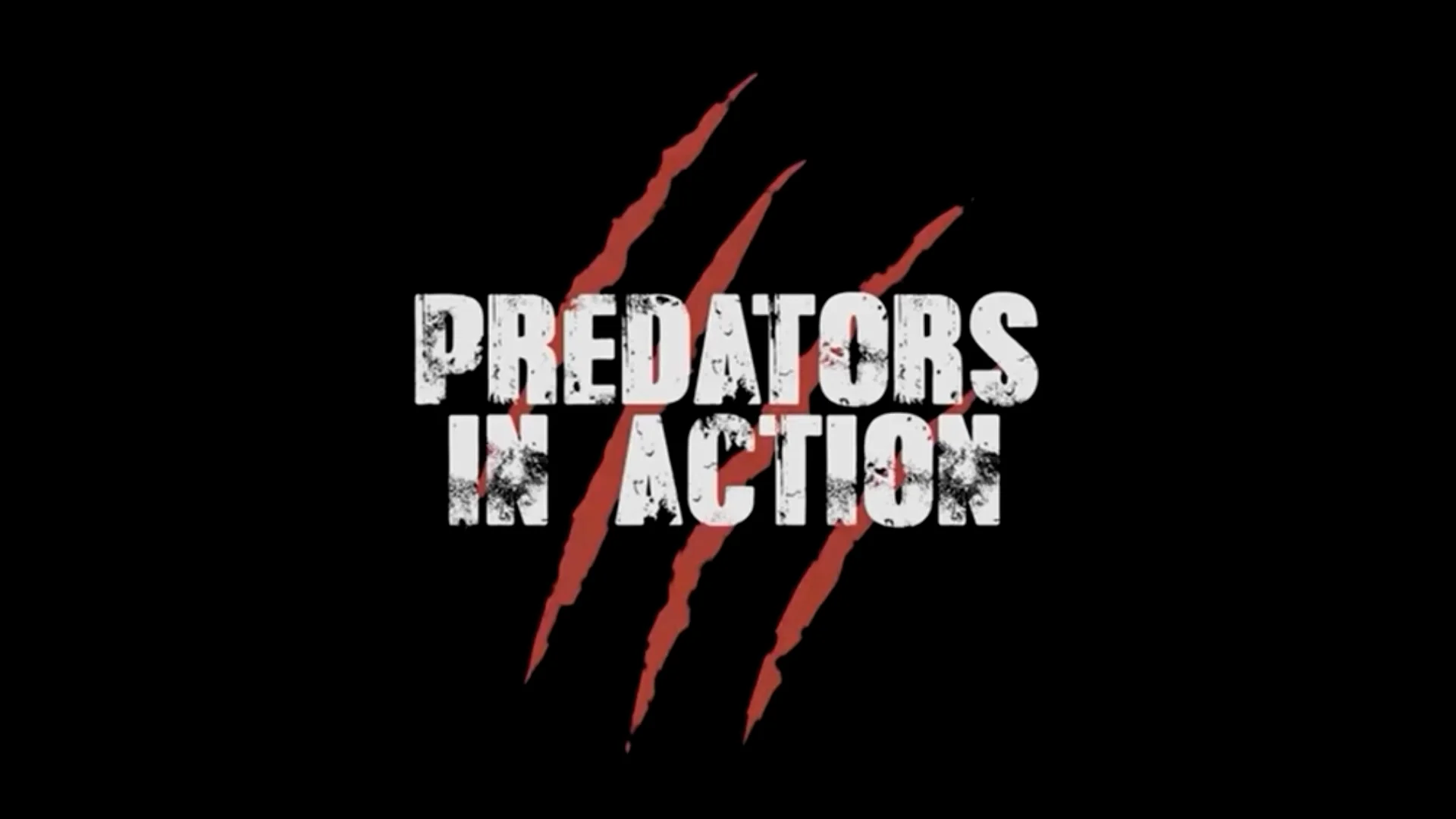 PREDATOR PETS: LIONS TIGERS BEARS on Vimeo