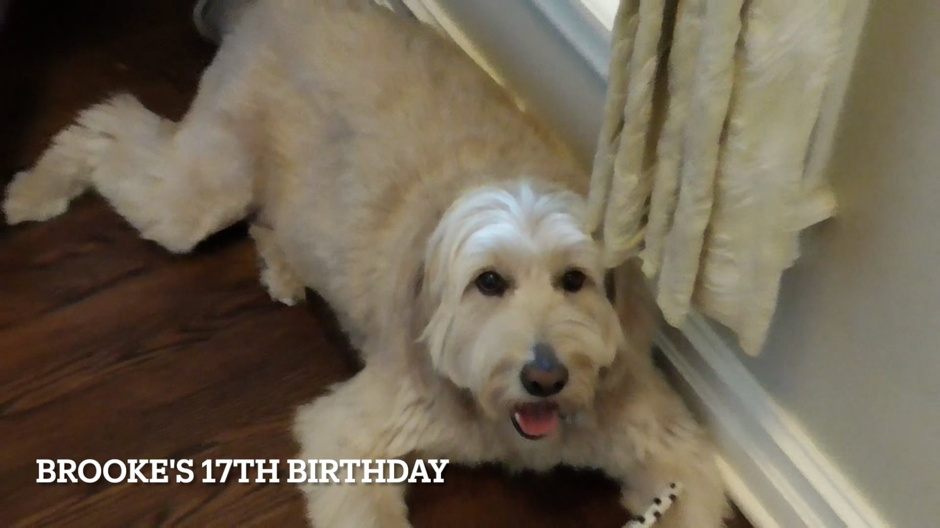 Birthdays 2021.mp4 on Vimeo