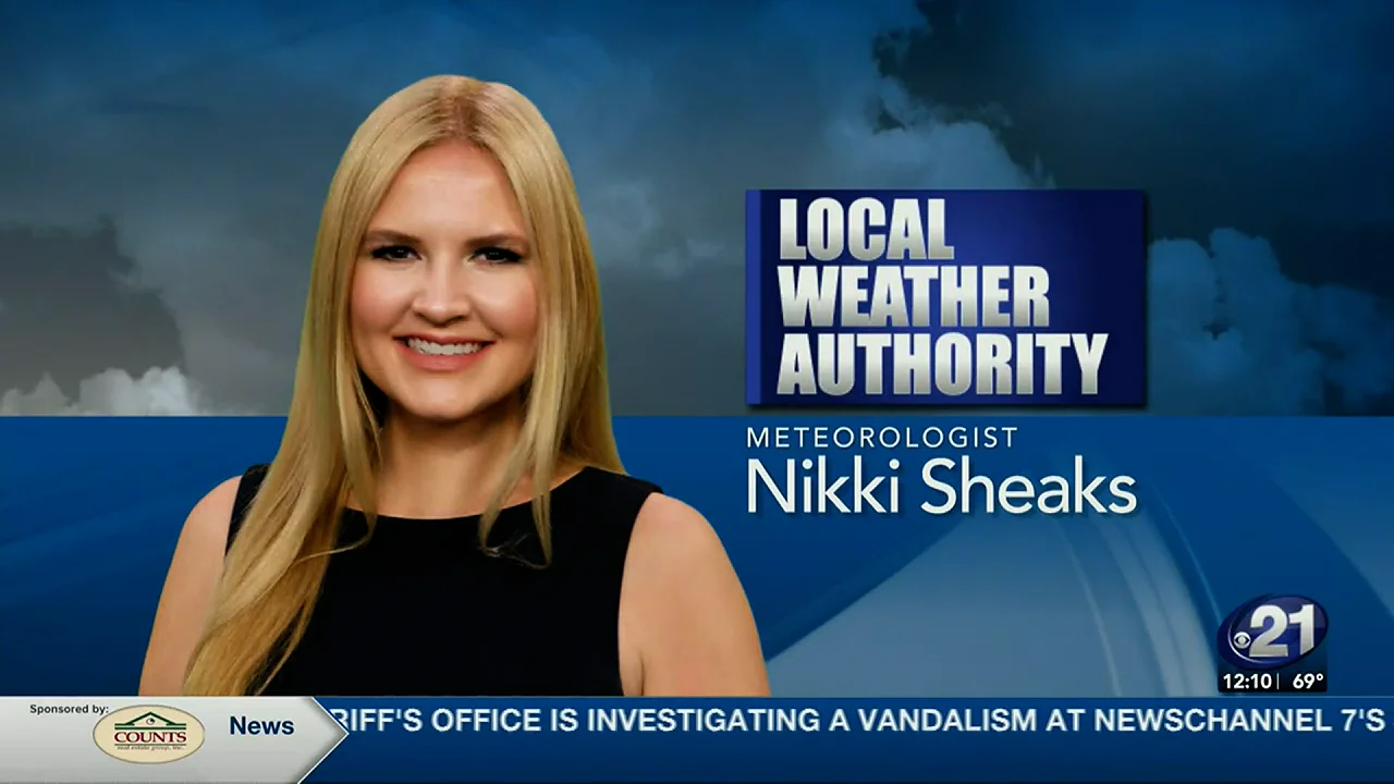 Nikki Sheaks weather Nov 2 noon on Vimeo