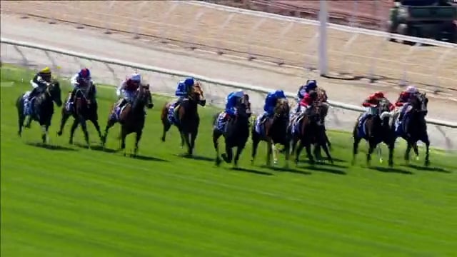 Zoustar - Stallion | Breednet