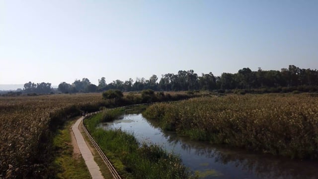 Hula Valley Nature Reserve - Free video on Pixabay