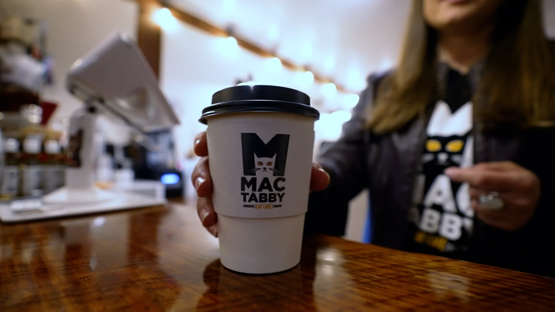 Chapman Chastain- Mac Tabby Cat Cafe on Vimeo