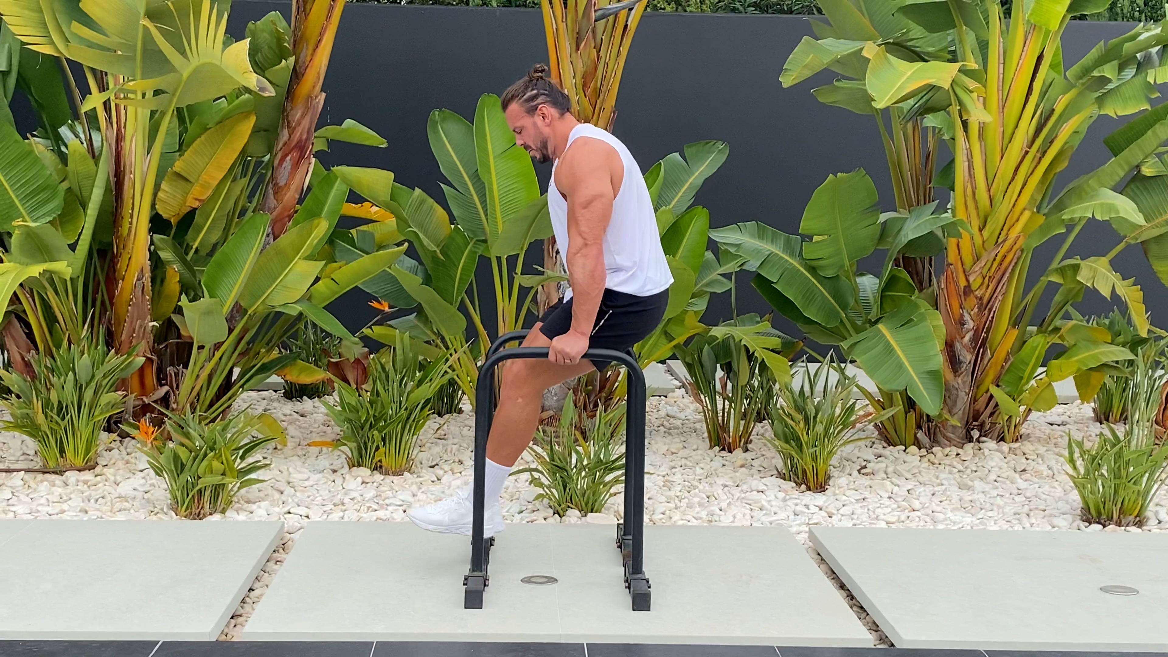 Parallel bars leg raises on Vimeo