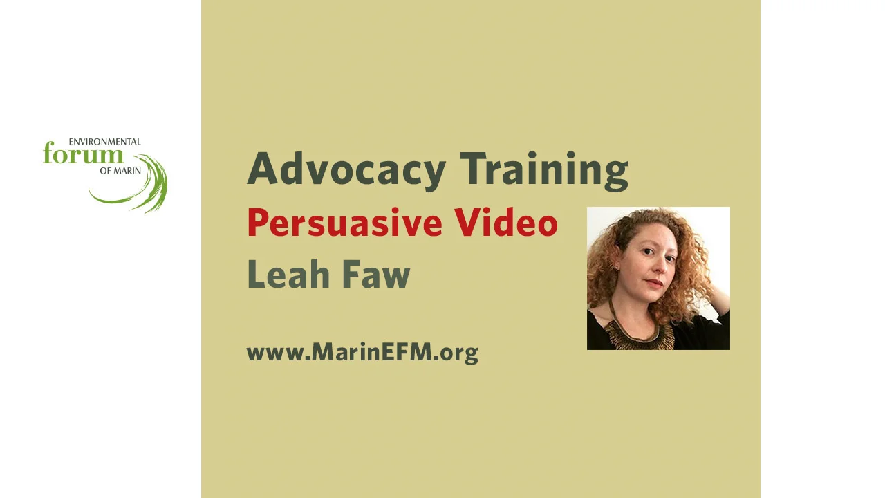 Persuasive Video on Vimeo