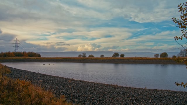 Pond Embankment River - Free video on Pixabay