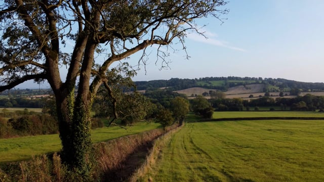 Hedgerow, Farm, Hedge. Free Stock Video - Pixabay