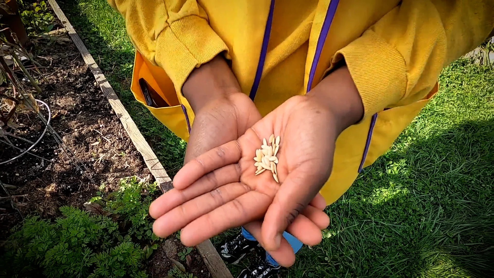 Lions Commercial 2021