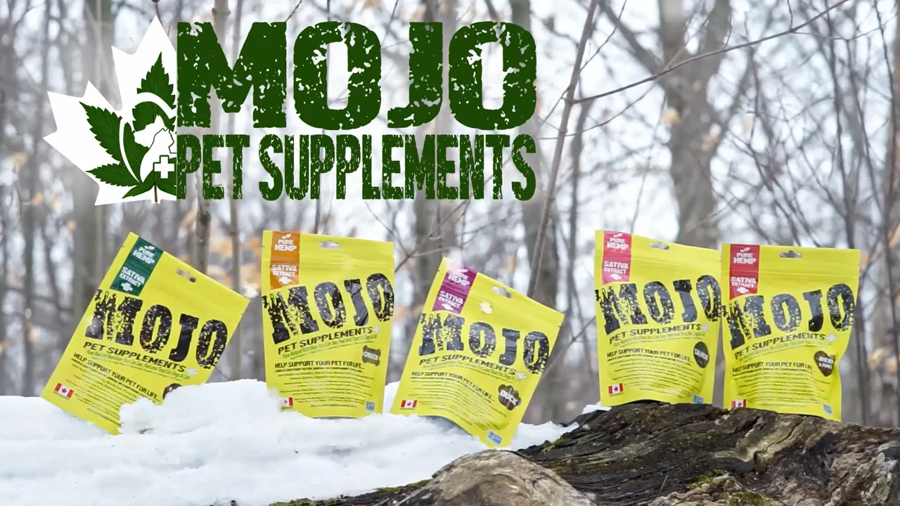 Mojo Pet Supplements new product 2021.mp4 on Vimeo