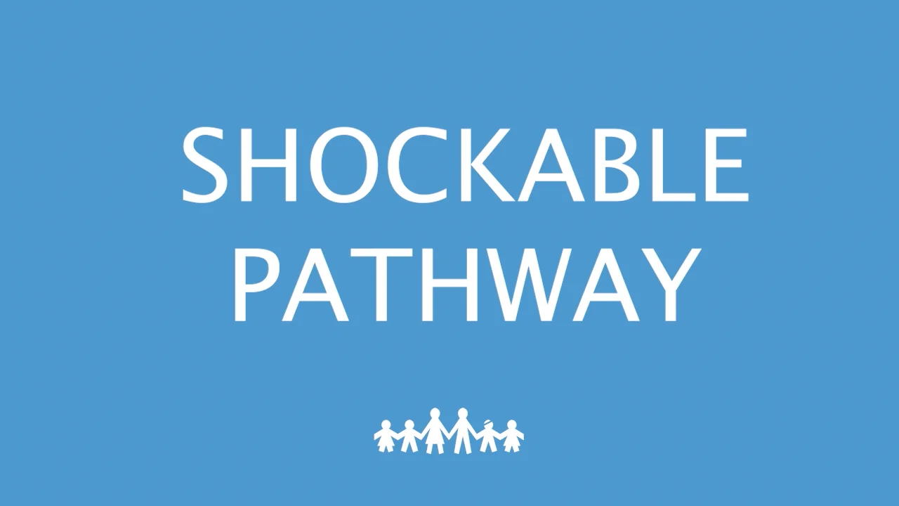 Management of Cardiopulmonary Resuscitation: Shockable Pathway