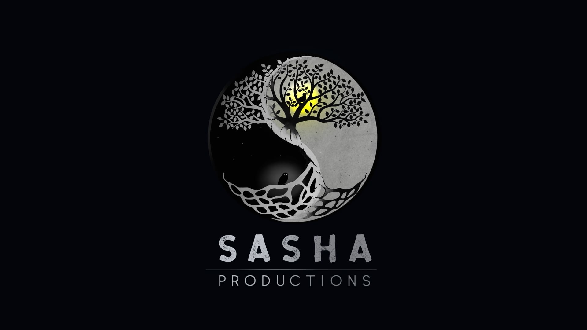 SASHA PRODUCTIONS on Vimeo