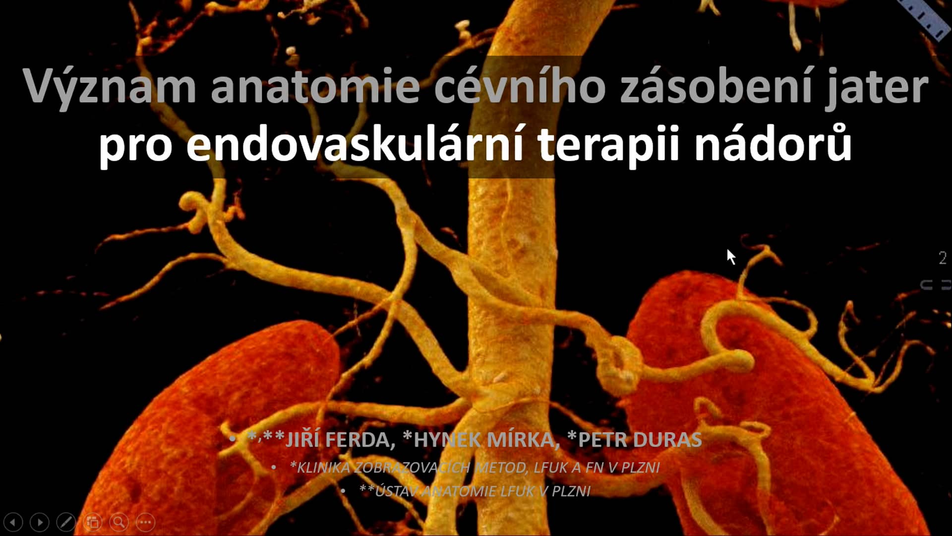 Význam anatomie cévního zásobení jater pro endovaskulární terapii ...