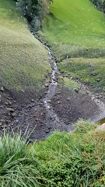 Waterfall, River, Tree. Free Stock Video - Pixabay