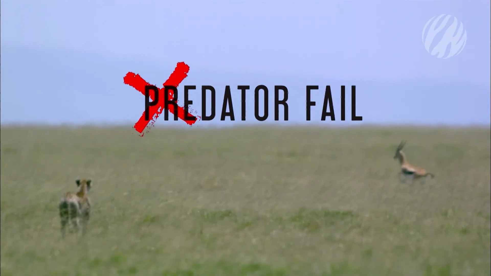 Predator Fail 1 - The Hunting Game_Promo on Vimeo