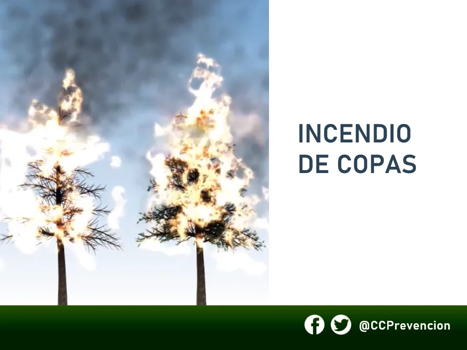 Incendio de Copas de Árboles on Vimeo