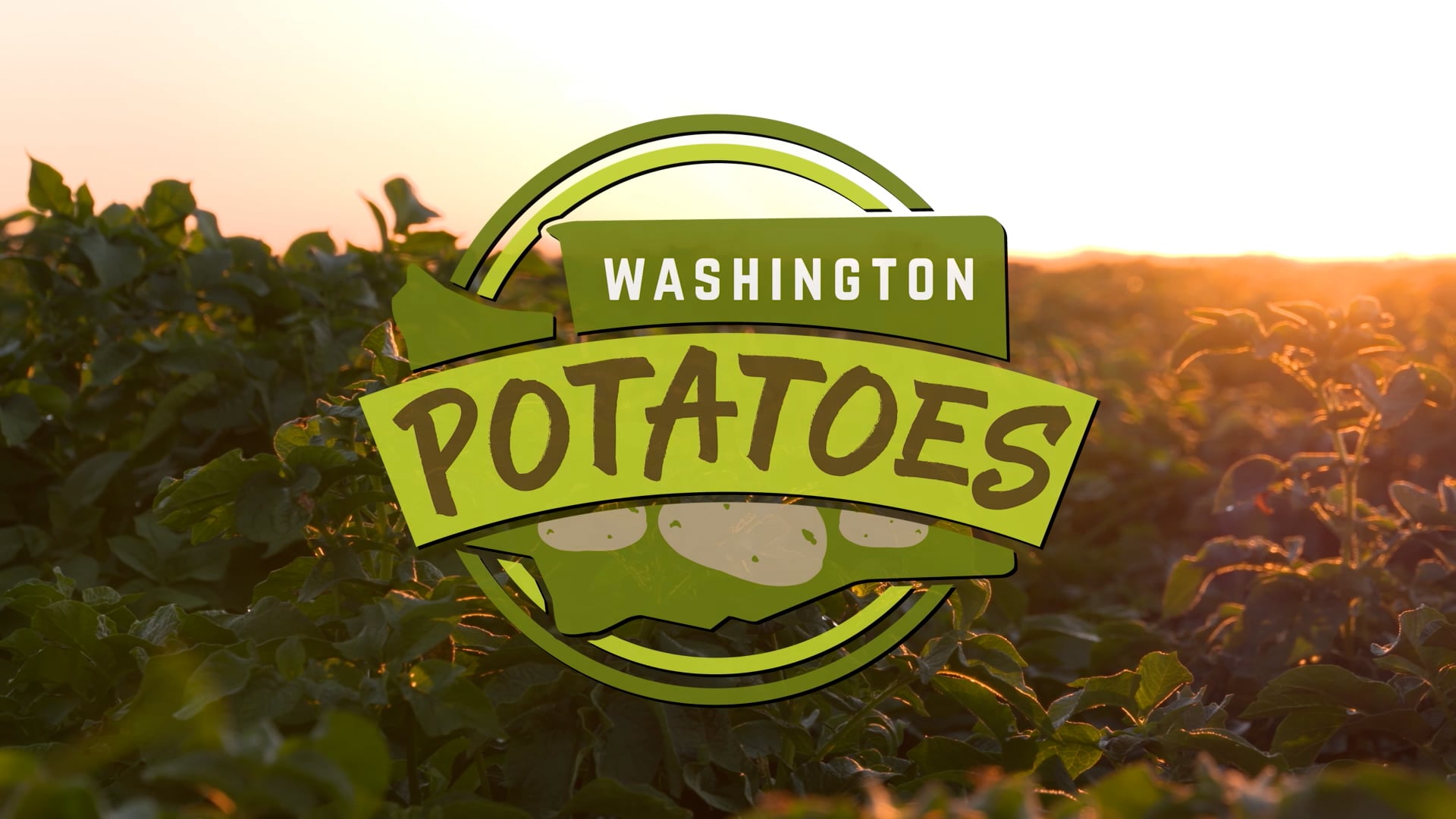 Washington Grown Season 8 Episode 8 -Colorful Potatoes- REV-008.mp4 on ...